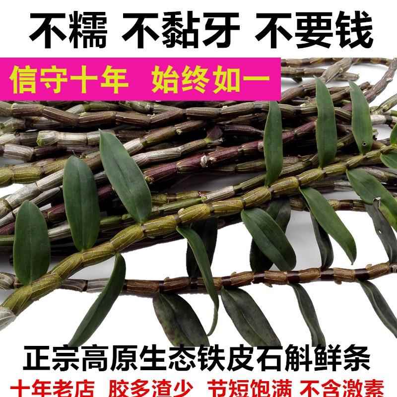 云南高原生态红杆铁皮石斛鲜条500克 三年生 石斛枫斗 多胶少渣