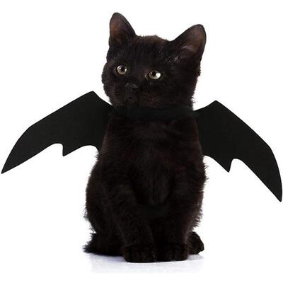 Cute Halloween Cat Costume Small Pet Cat Bat Wings Halloween