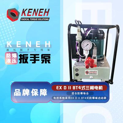 化工厂 液压防爆扳手专用泵 超高压EWP系列 防爆泵