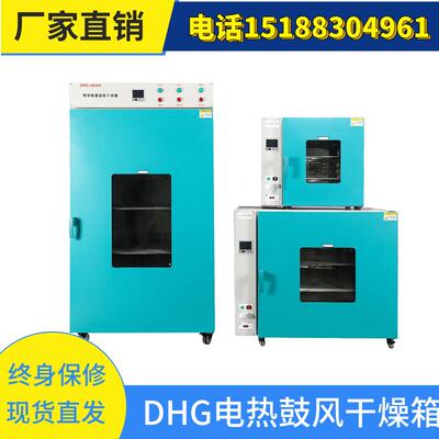 DGH电热鼓风干燥箱 玻璃烧杯烘干设备仪器 特尔仪器鼓风干燥箱