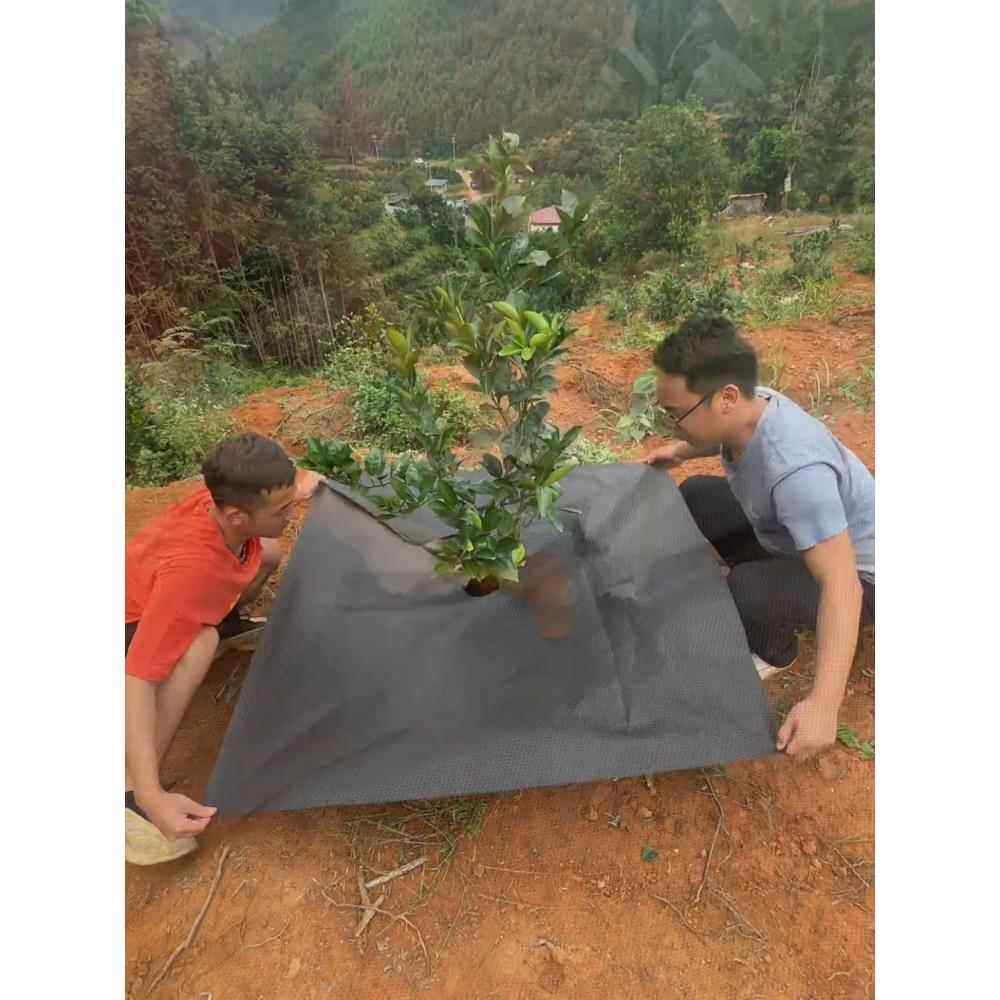 防草布除草农用果园地布果树打孔盖草布黑地膜遮草地布耐用生态