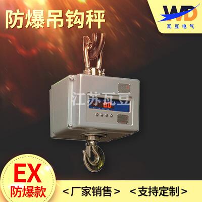 防爆吊钩秤化工油漆制药显示款称重吊钩秤1t2tt防爆场合吊钩秤