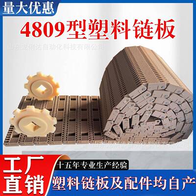 4809突肋型网带巴氏喷淋杀菌专用输送线57.15节距塑料链板输送带