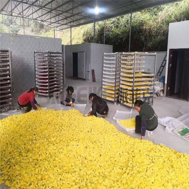 辣椒水果FIF空烘气能金银花干机菇 香热泵环烘干房 中药材热风循
