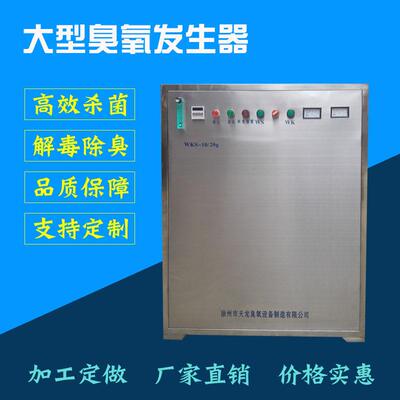 大型臭氧机气液混合泵水气两用可调臭氧设备WKS-10/20g臭氧发生器