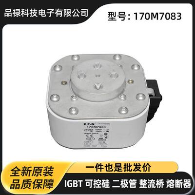 170M6902 170M6903 170M6904 170M6905进口快速熔断器 直流熔芯