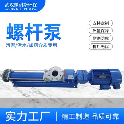 SEEPEX西派克螺杆泵BN2-6L板框进料带式进料螺杆泵化工泵渣质泵