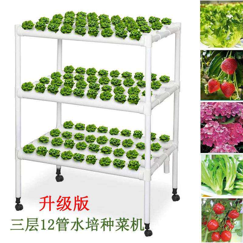 厂家直销无土栽培家庭阳台 种植蔬菜草莓 水培植物多层种菜机