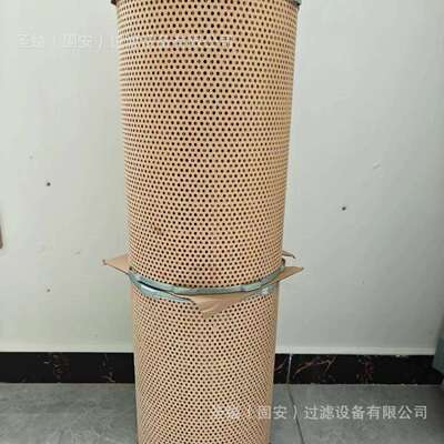 360-8960 FS19728 FS36260 P954895柴油滤芯47585451