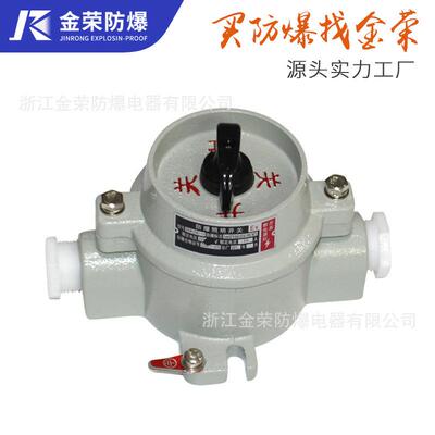 BZM-10防爆照明开关SW-10A控制开关86型翘板墙壁220V旋钮开关380V