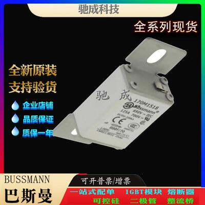 巴斯曼170M1484 170M1485 170M1487 加工制作零售 紧凑熔断器