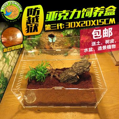 爬宠饲养盒亚克力爬虫箱蜘蛛豹纹守宫蜥蜴角蛙甲虫防生态造景箱