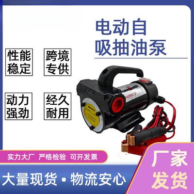 12v24v220v200w大功率电动便携式抽油泵