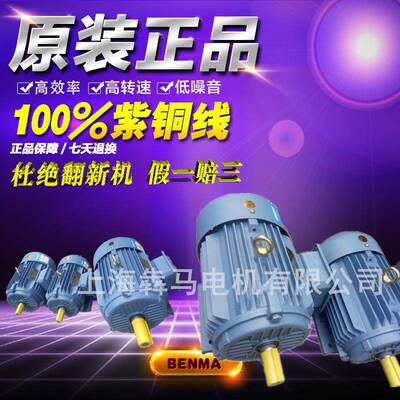 三相异步电动机YE2-200L1-2极30W45w55w75w90w电机