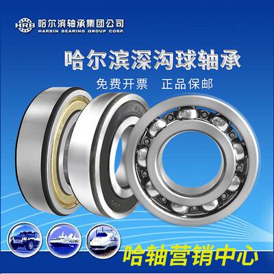 HRB哈尔滨轴承 6315 6316 6317 6318 6319 6320 6321双密封深沟球