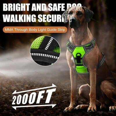 LED Light Up Dog Harness No Pull Adjustable Rechargeable Pet