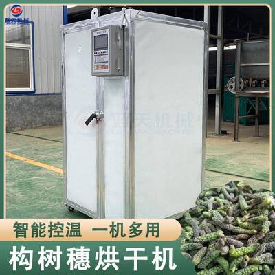 小型商用构树穗烘干机构蒲穗构树桃子烘干箱全自动褚桃穗烘干房