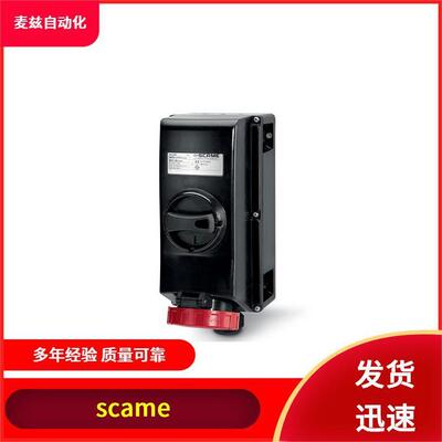 SCAME 司坎拓普 101.6302.20G 带互锁的开关插座 746.3025-350