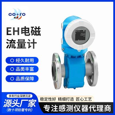 EH德国恩德斯豪斯Promag W 10 5WBB80 哈C电极分体PTFE电磁流量计