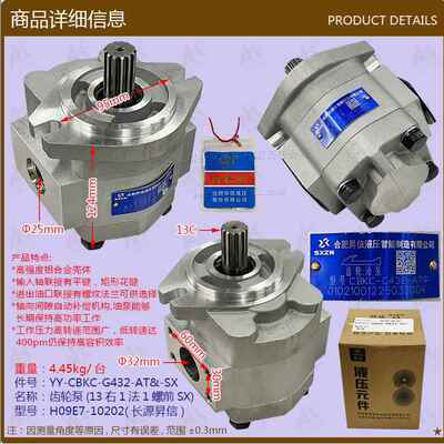 叉车配件齿轮泵(13右1法1螺前H09E7-10202长源昇信CBKC-G432-