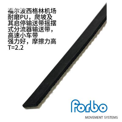 FORBO SIEGLING沟槽多列试注入输送，高速小车带-机场和物流行业