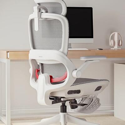 B100Pro人体工学椅电脑椅家用办公椅久坐电竞椅