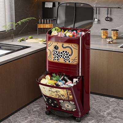 厨房垃圾圾分6589类垃桶家用脚踏干双湿分离带盖臭防客厅高档层垃