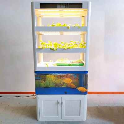 农业家庭养鱼种菜柜鱼缸水培种植柜鱼菜共生蔬菜种植机无土栽培设