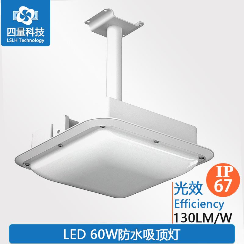 60WIP67油站灯防爆灯天棚工矿灯屋檐灯高棚冷库照明仓库灯