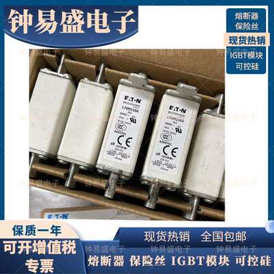 eaton Bussmann保险丝170M1566/170M1566D巴斯曼熔断器