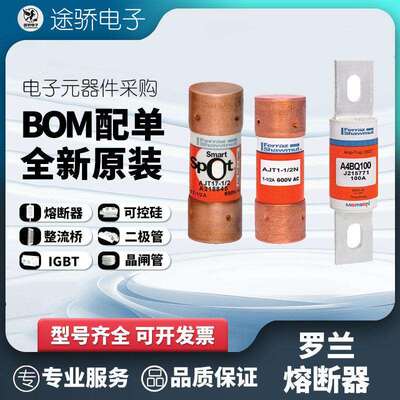 美尔森罗兰熔断器FR10AM40V10P B084986 FR10AM40V12P X085258