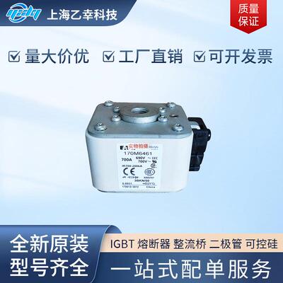 巴斯曼熔断器 170M6461 170M6462 170M6463 170M6464 170M6465