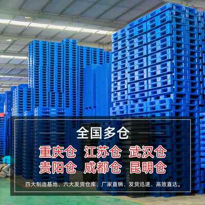 平川牛字塑料托盘叉车地卡DSW板面仓库货架置物板货柜1上210可货