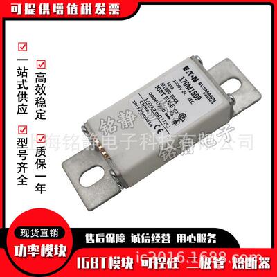 170M1740 170M1741 170M1742 170M1785 170M1786巴斯曼熔断器现货