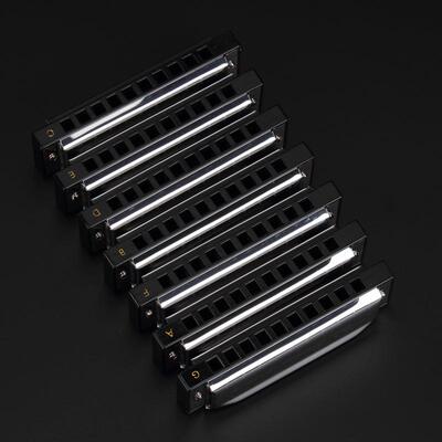 天鹅10孔鲁套装口琴ABCDEFG7HVQ调套装12布调斯套装吹奏乐器