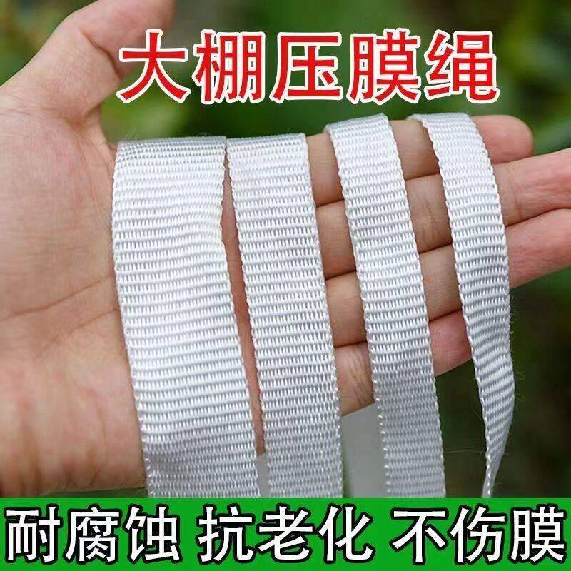 大棚压膜绳压膜线压膜带抗老化白色聚酯纤维压膜绳压膜带压膜线耐