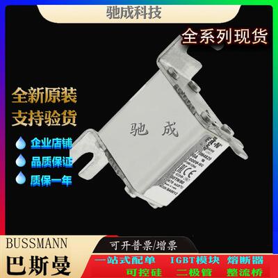 巴斯曼170M4828 170M4829 170M4830 原装进口量大价优 快速熔断器