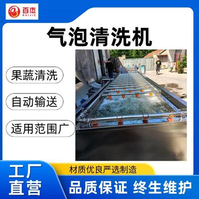 香菇清洗机果蔬气泡清洗机农作物清洗设备厂家直销大型洗菜机