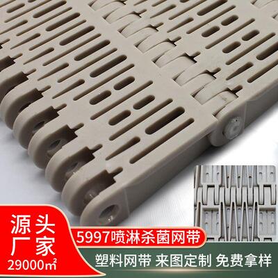 厂家直销4859喷淋杀菌网带灌装食品塑料网带储瓶台模组输送网带