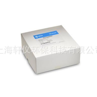 10600100 GE Whatman PVDF蛋白质疏水印迹膜用于剥离和反复检测