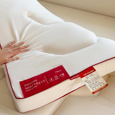 床垫LDK-2025软垫家用加厚租床榻褥防滑褥子舍学生宿垫被房专用打