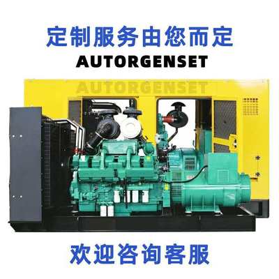 cummins power 200kw康明斯发电机generator set emergency power
