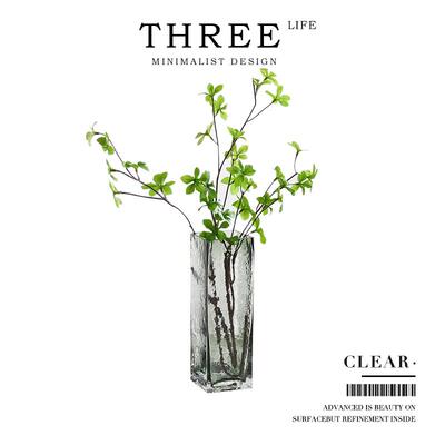 Tlife·Clear·花瓶玻璃透明简约创意水培插花花器客厅摆件 |清欢