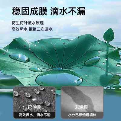 外墙漏墙屋顶窗台透明防用BRI水胶面漆渗水补漏材料王漏水防补专