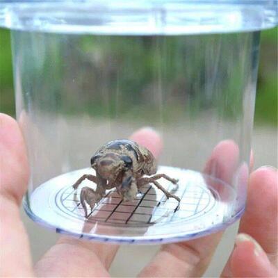 Insect Observation Box Insect Magnification Observation Cup