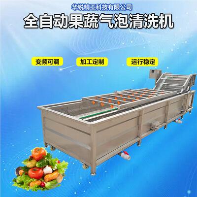 气蓝商用果蔬高喷淋清洗线西蓝705花清洗加工流水线设压备莓泡清