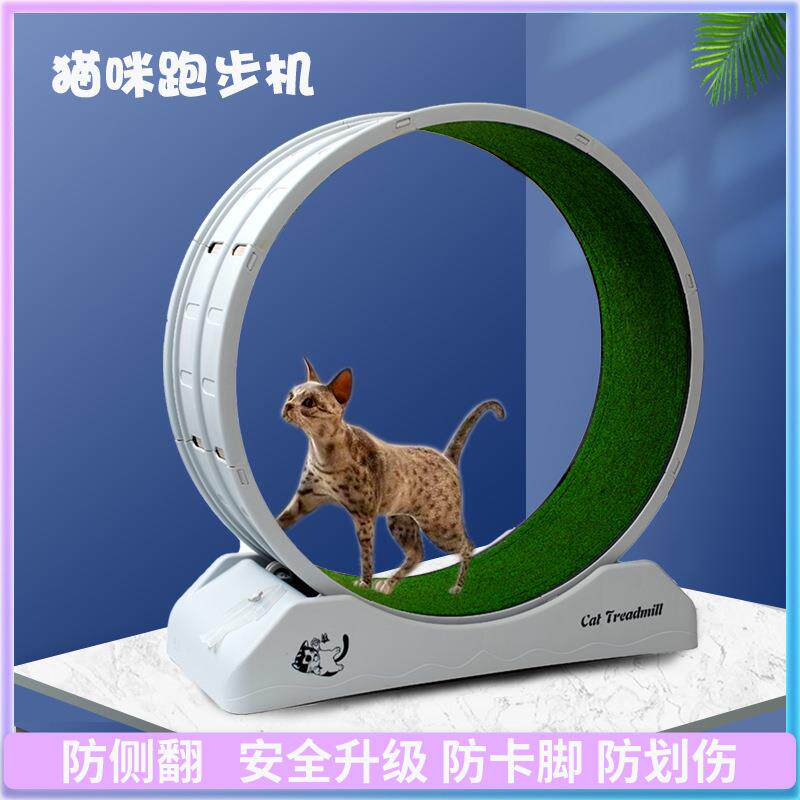 跨境猫咪滚轮跑步机健身运动猫爬架宠物玩具猫犬跑轮狗狗跑步机