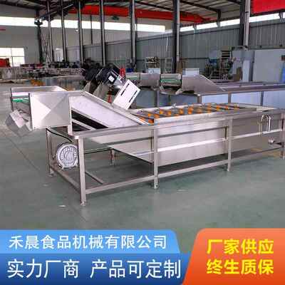 气浴式鲜果蔬洗清洗设备 中ZAB药材机气泡清海洗 海带翻浪式气泡