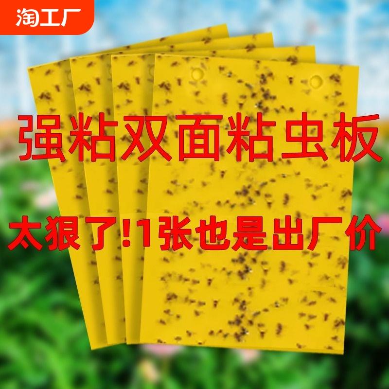 粘虫板大棚黄板双面小黑飞果蝇诱捕器诱虫板贴纸农用家用飞虫小飞