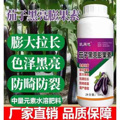 茄子乌黑紫亮膨大拉直素茄子拉长剂膨果增产植物生长调节剂营养液